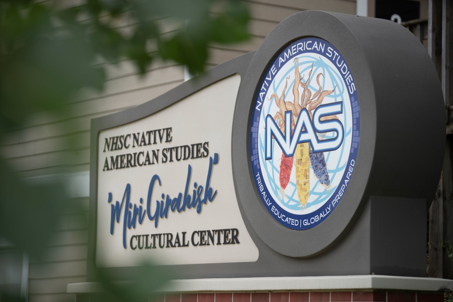 Degrees & Certificates – NHS College