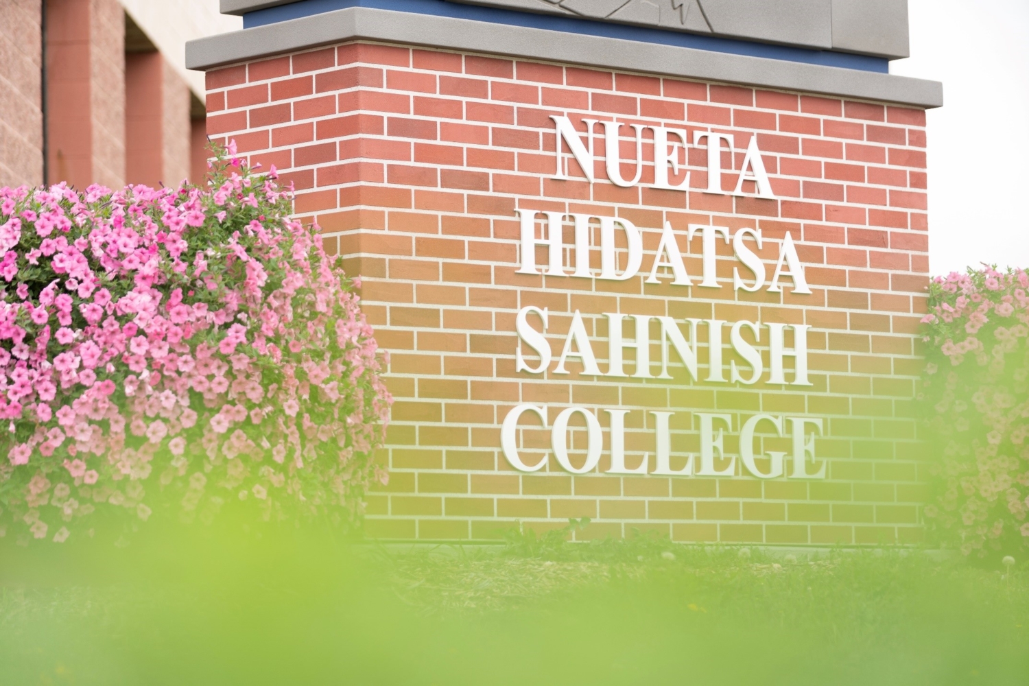 Schedule a Visit – NHS College